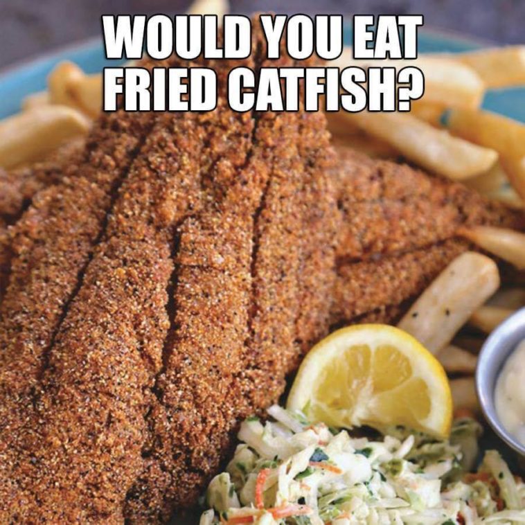 Southern Fried Catfish – alldelish